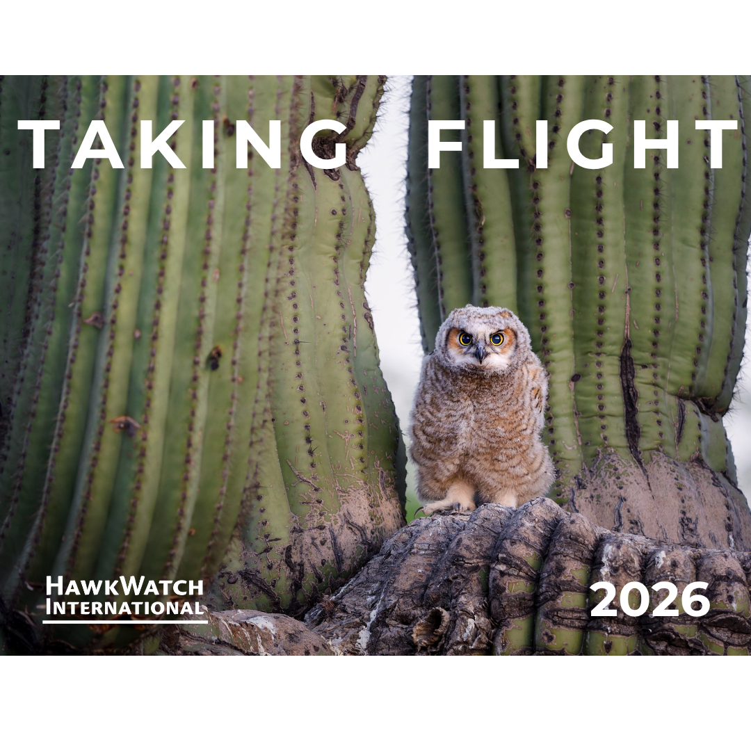2026 Calendar – HawkWatch International