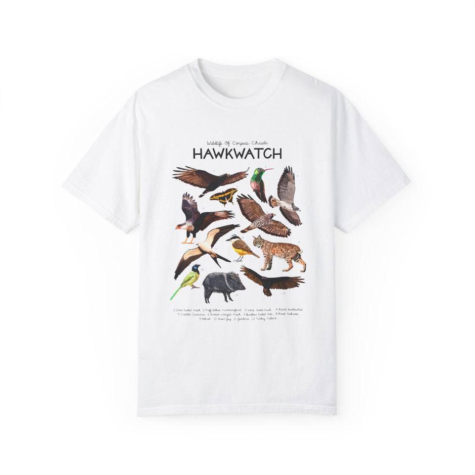 Migration Collection – HawkWatch International