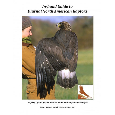 In-hand Guide to Diurnal North American Raptors – HawkWatch International